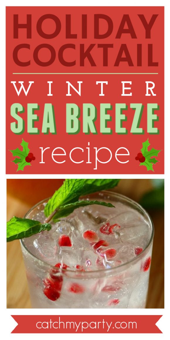 Make A Winter Sea Breeze Holiday Cocktail Now The Catch My Party Blog The Catch My Party Blog